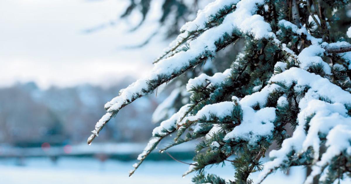 Met Office issues yellow weather warning for snow across UK - Slough ...