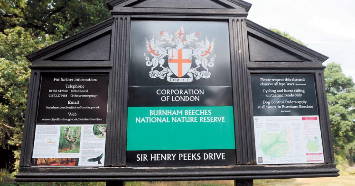 Burnham Beeches ancient woodlands to be dedicated to The Queen for ...