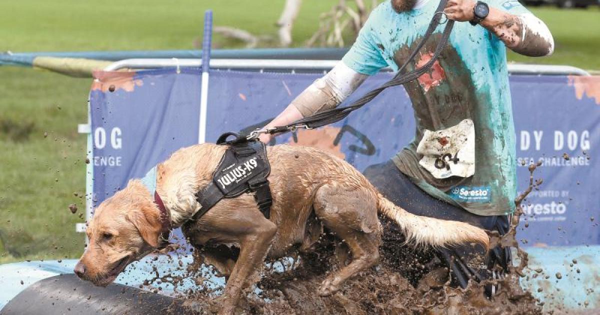 Muddy Dogs Challenge early bird tickets available until Friday - Photo ...