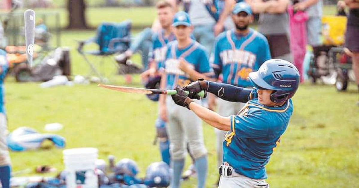 Six teams step up to the plate for national finals at Farnham Park ...