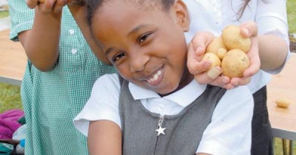 St Mary's victorious in potato challenge - Slough Express