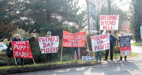 The week in pictures: March 5-11 - Slough Express