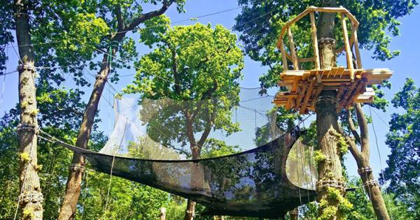 Go Ape set to launch first ‘Net Kingdom’ in Black Park - Photo 1 of 3 ...