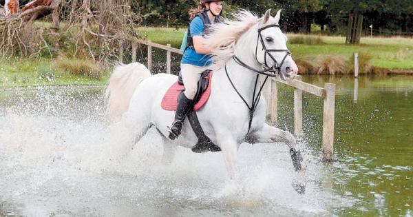 Windsor Lions' annual horse riding event for charity cancelled due to ...