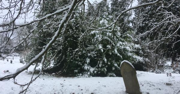 Maidenhead experienced 'rare' two inches of snow - Slough Express