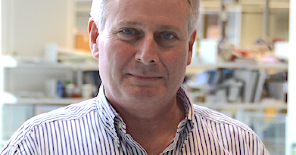 SPONSORED: Something doesn’t feel right? Contact your GP practice ...