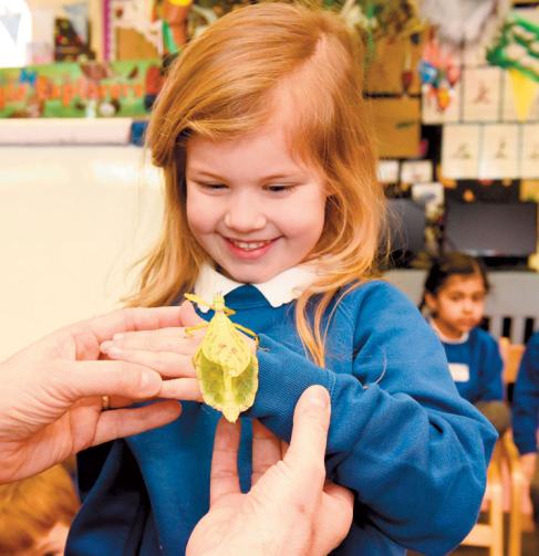 Jungle Roadshow creepy crawlies come to Cippenham Primary School ...