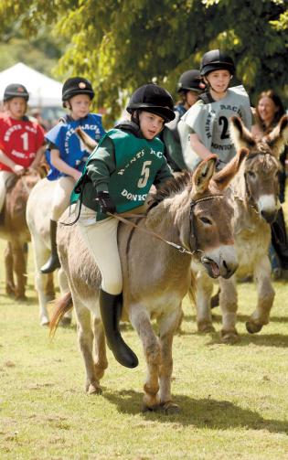 In pictures: The 28th Burnham Donkey Derby - Photo 1 of 16 - Slough Express
