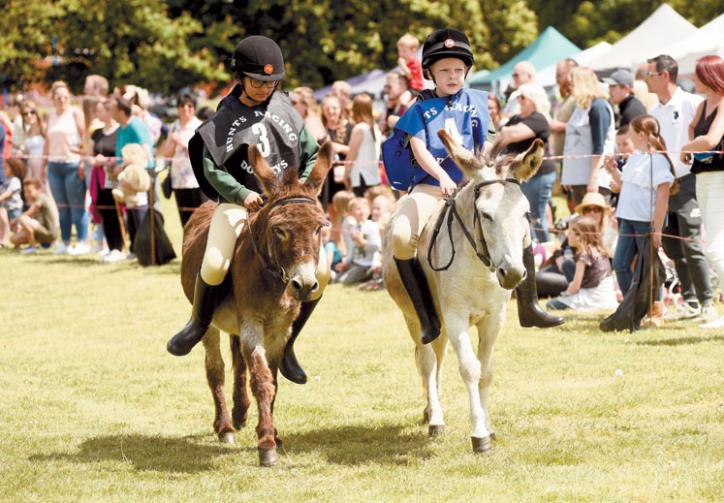 In pictures: The 28th Burnham Donkey Derby - Photo 1 of 16 - Slough Express