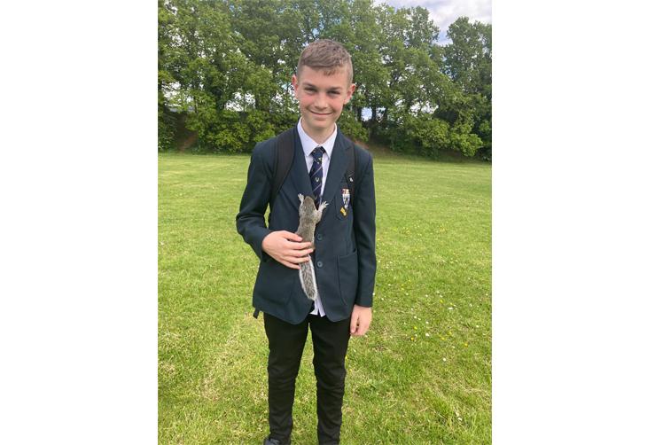 Burnham family take in squirrel who wouldn't leave their son's side ...