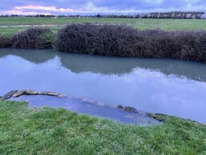 Thames Water slammed over 'horrendous' sewage in Eton Wick stream ...