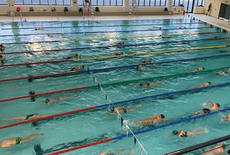Maidenhead Marlins Swimming club members test the waters at Braywick ...