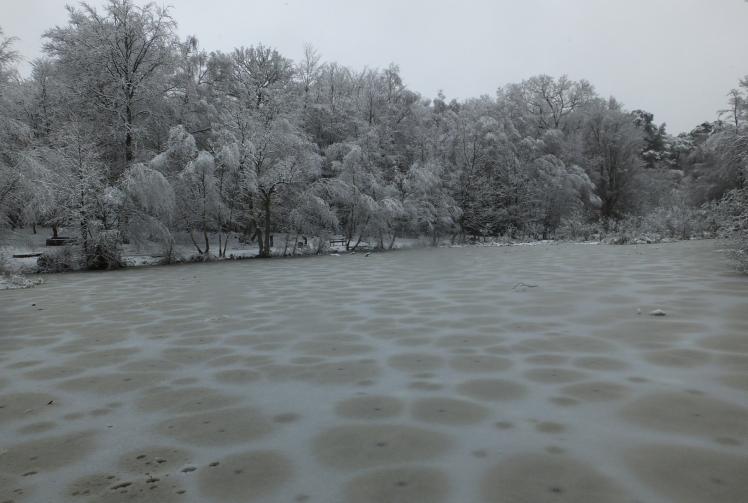 Burnham Beeches: visitors must stay off of frozen ponds - Slough Express