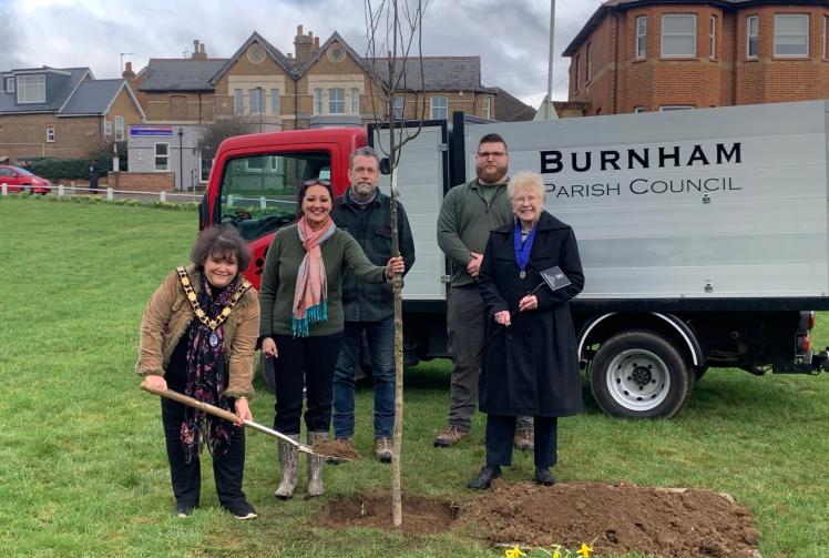 Burnham plants English oak tree in Queen's memory - Slough Express