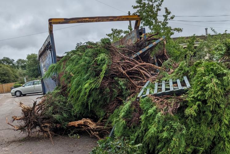 People 'afraid to leave their homes' after unexpected clearance works ...