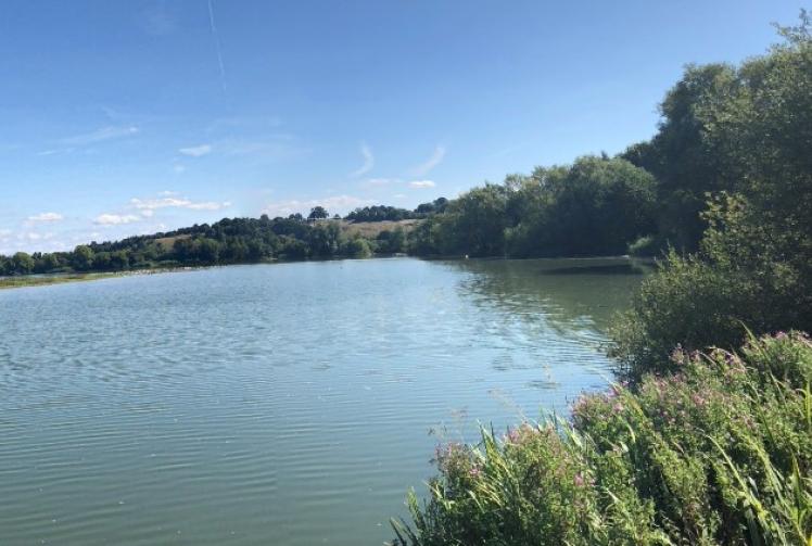 Plans for new designated country park in Little Marlow approved by ...