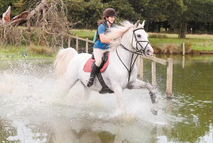 Windsor Lions’ horse ride to take place next weekend - Photo 1 of 1 ...
