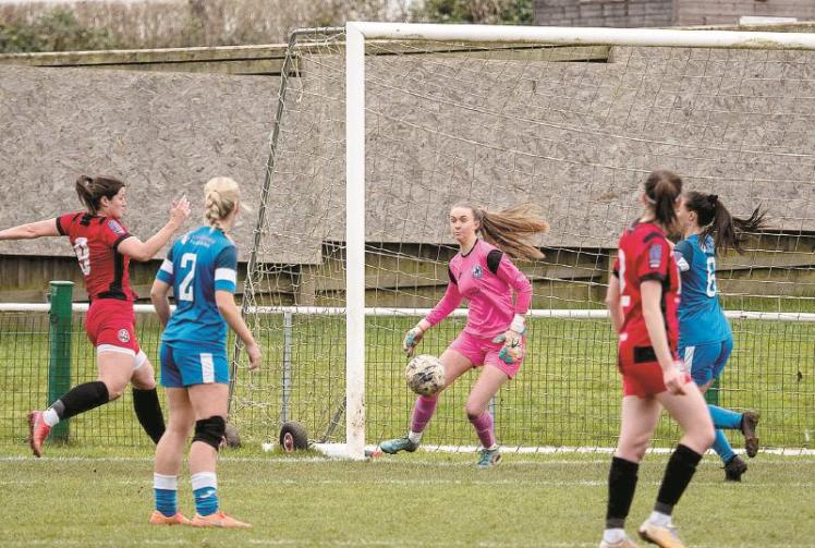 Cowell strikes twice as Magpies silence the Larks - Photo 1 of 1 ...