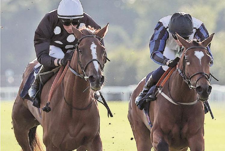 Rossa Ryan brings up a century of winners with Galaxy Princess victory ...